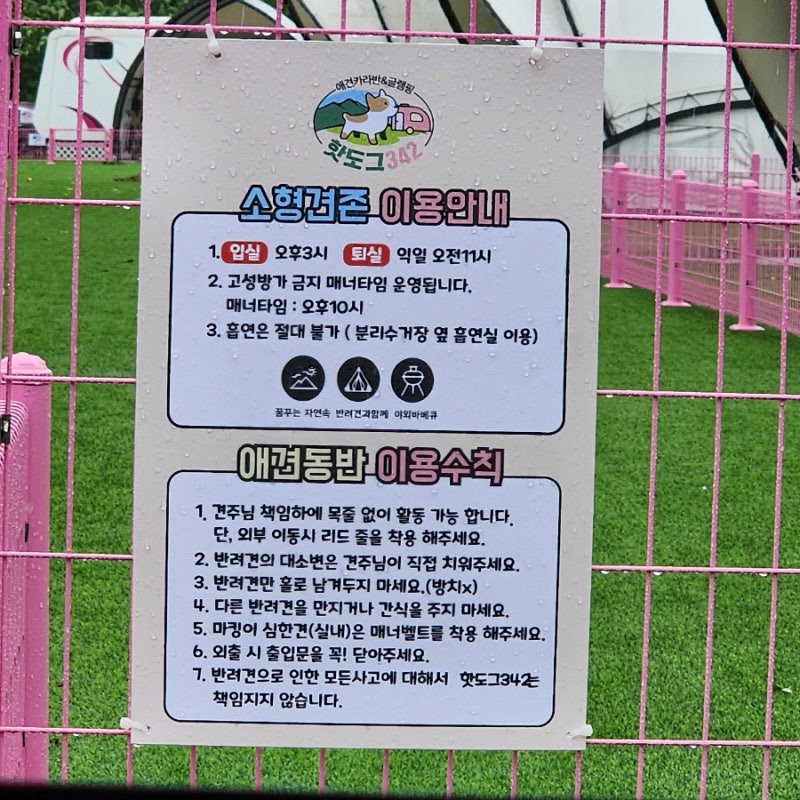 포천 강아지 수영장 운동장 있는 애견카라반 핫도그342애견카라반글램핑 네이버 블로그