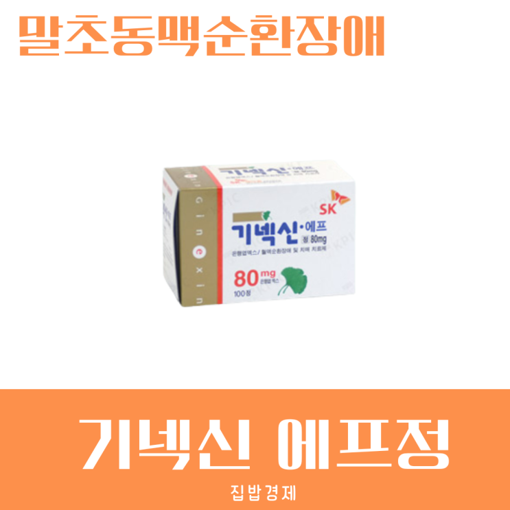 기넥신 에프정 80mg 효능 및 부작용과 가격 알아보기