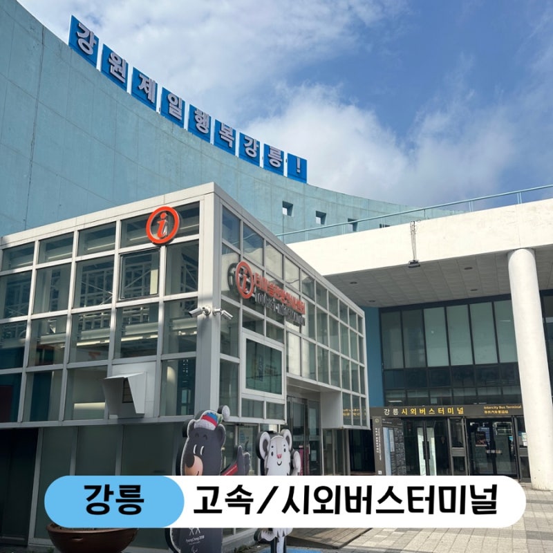 강릉시외버스터미널 And 고속버스터미널 시간표 예매 주의사항 네이버 블로그