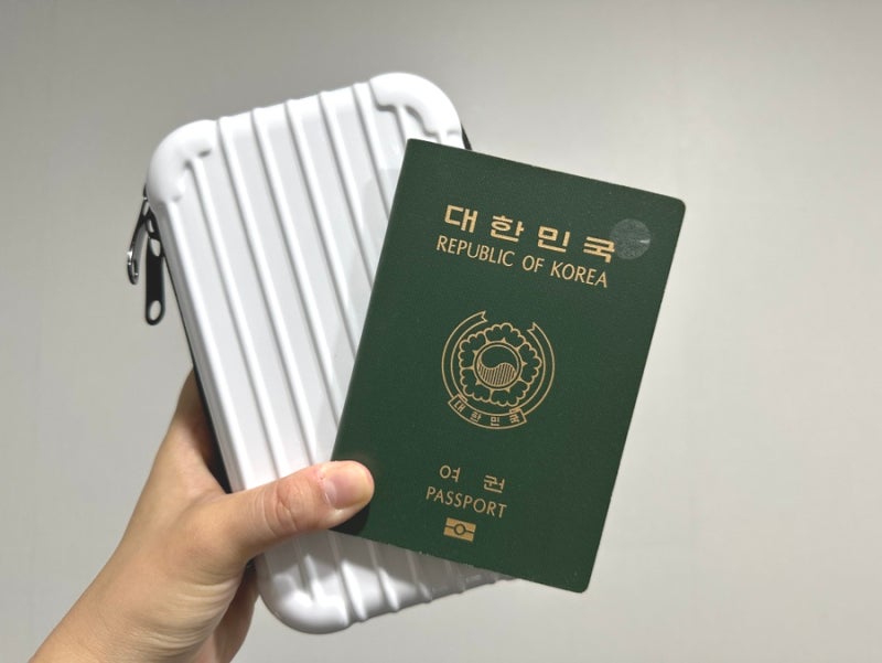 여권사진 규격 귀 앞머리 눈썹 온라인 신여권 발급 재발급 신청 갱신 픽셀 조건 네이버 블로그