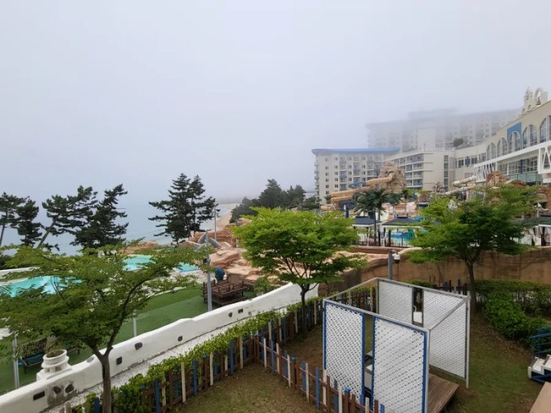 삼척 쏠비치 스위트 여행 노블리안 실버 후기 네이버 블로그