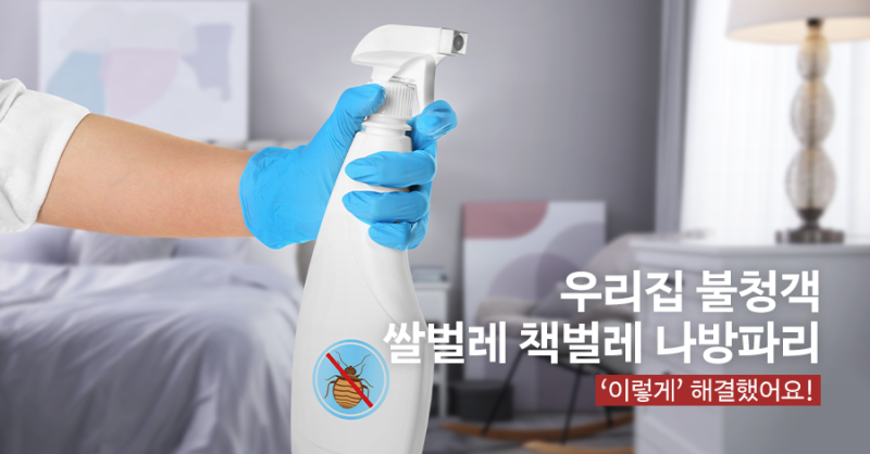 여름철 벌레 퇴치 방법 총정리 책벌레 나방파리 쌀벌레 없애는 법 네이버 블로그