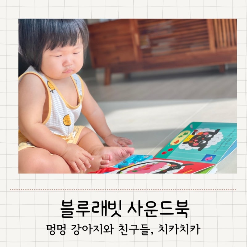 블루래빗 사운드북으로 돌아기랑 놀아요멍멍 강아지와 친구들 치카치카 네이버 블로그