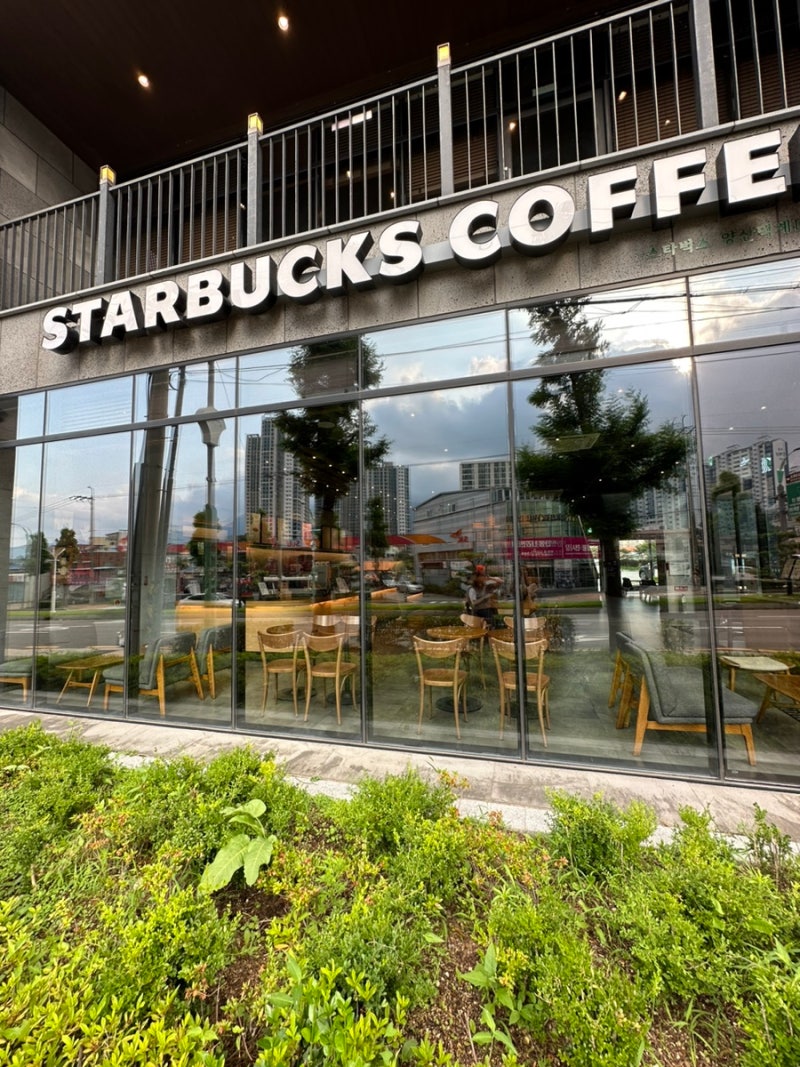 ☕️ 양산 덕계동 스타벅스 양산덕계dt점 이용후기드라이브스루 가능🙆🏻‍♀️ 네이버 블로그