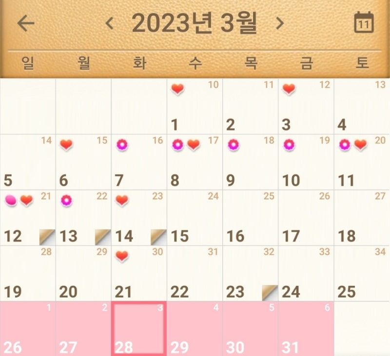 4주~19주 배크기 해외초음파 임신초기 피비침 영양제 배테기 성공 임신 극초기 네이버 블로그