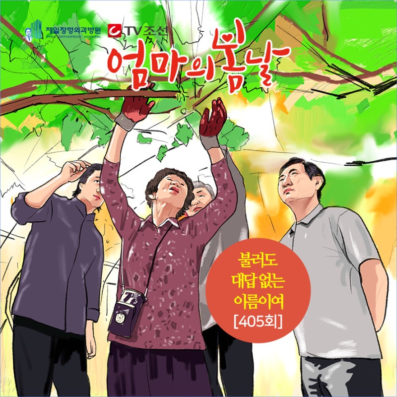 엄마의봄날 영순엄마의 척추관협착증 치료는 신경성형술 및 하지정맥술 Feat 척추센터 김재훈 원장 혈관영상의학센터 권용원