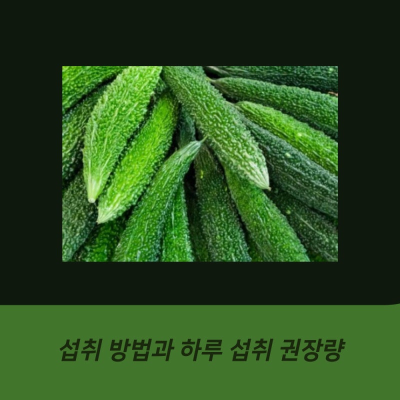 말린 여주 효능 여주차 여주즙 부작용 네이버 블로그