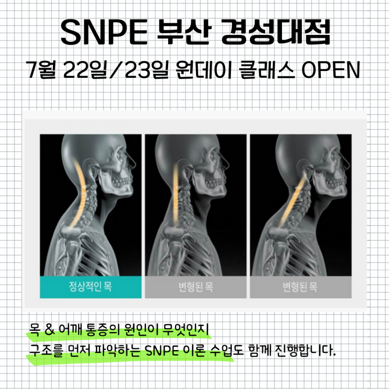 [부산 SNPE] 7월 원데이 클래스 모집!(선착순 신청마감) : 네이버 블로그