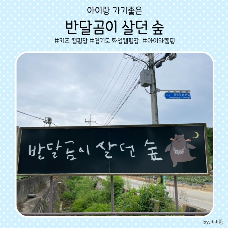 서울근교 경기도 화성 키즈 캠핑장 아이와 가기좋은 반달곰이살던숲 가족캠핑장 Feat버스킹 네이버 블로그