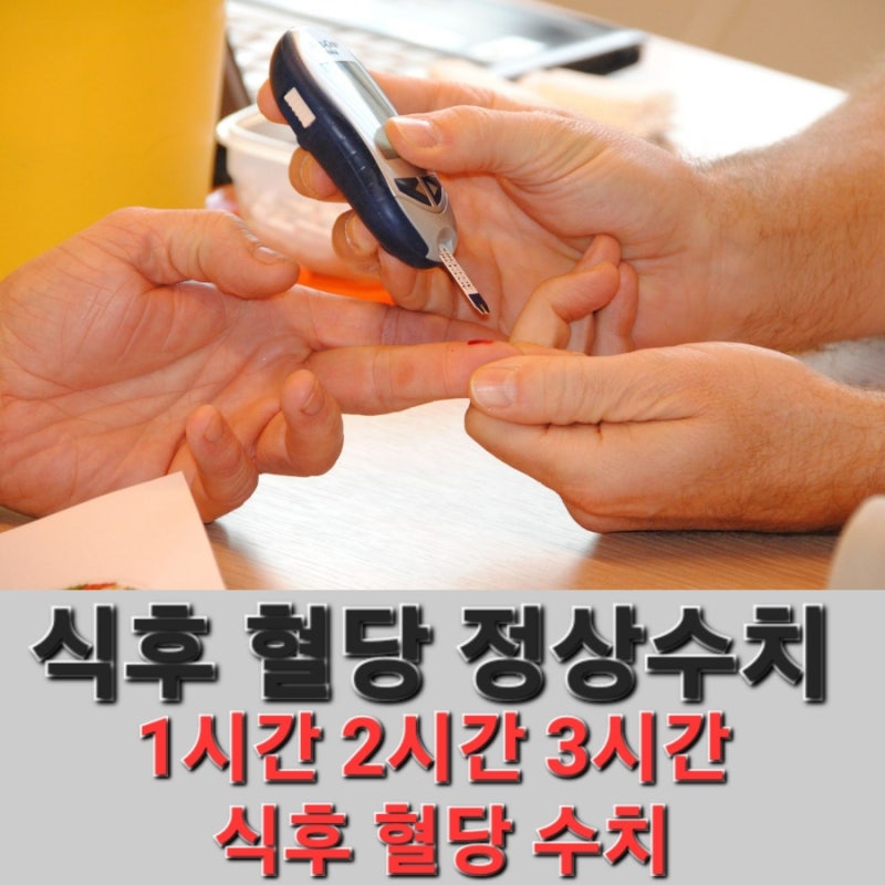 식후 혈당 정상수치 1시간 2시간 3시간 식후 혈당 수치 네이버 블로그