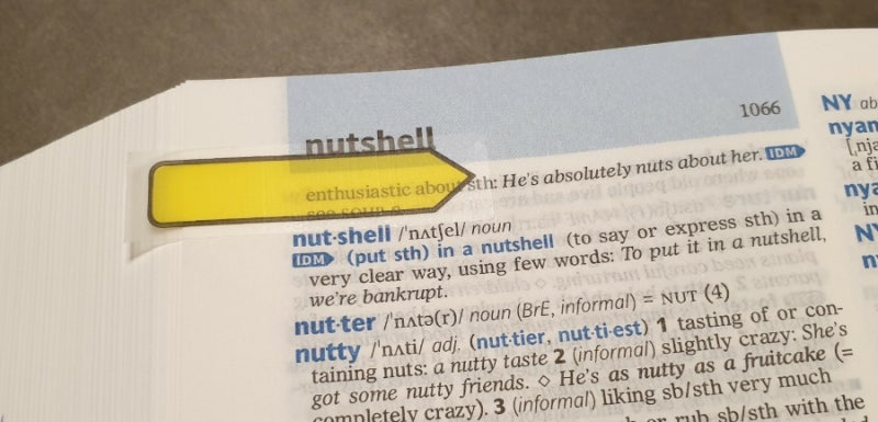 영어단어 설명하다 explain / describe 간단히 말하자면 in a nutshell 영어표현 : 네이버 블로그