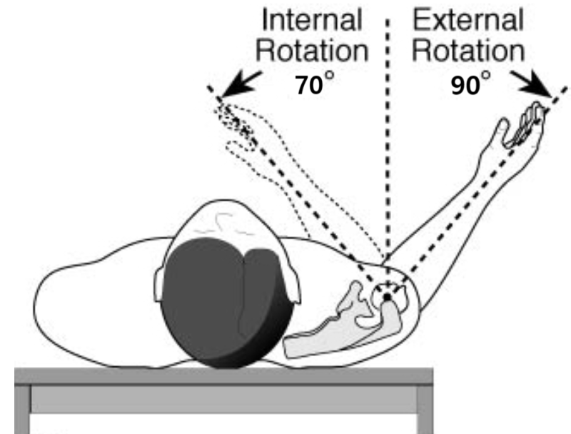 rotation(회전), internal rotation(내회전), external rotation(외회전)의 관절 별 정상 ...