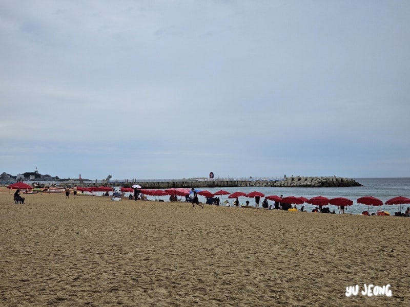 속초 해수욕장 모든것! 주차장, 속초아이 대관람차 가격, 파라솔, 튜브 대여, 샤워장 요금 : 네이버 블로그