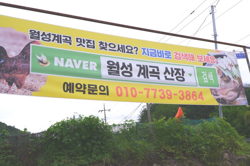 대구 근교 애견동반 계곡 추천 거창계곡 월성계곡산장 네이버 블로그