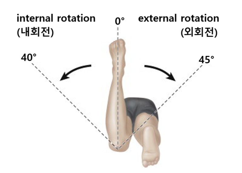 rotation(회전), internal rotation(내회전), external rotation(외회전)의 관절 별 정상 ...