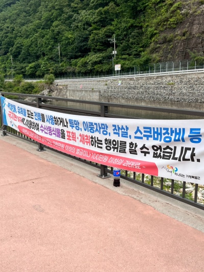 가평 백둔리계곡 백둔교계곡 불광주차장 수원근교계곡 스노클링 가능 무료구명조끼대여 네이버 블로그