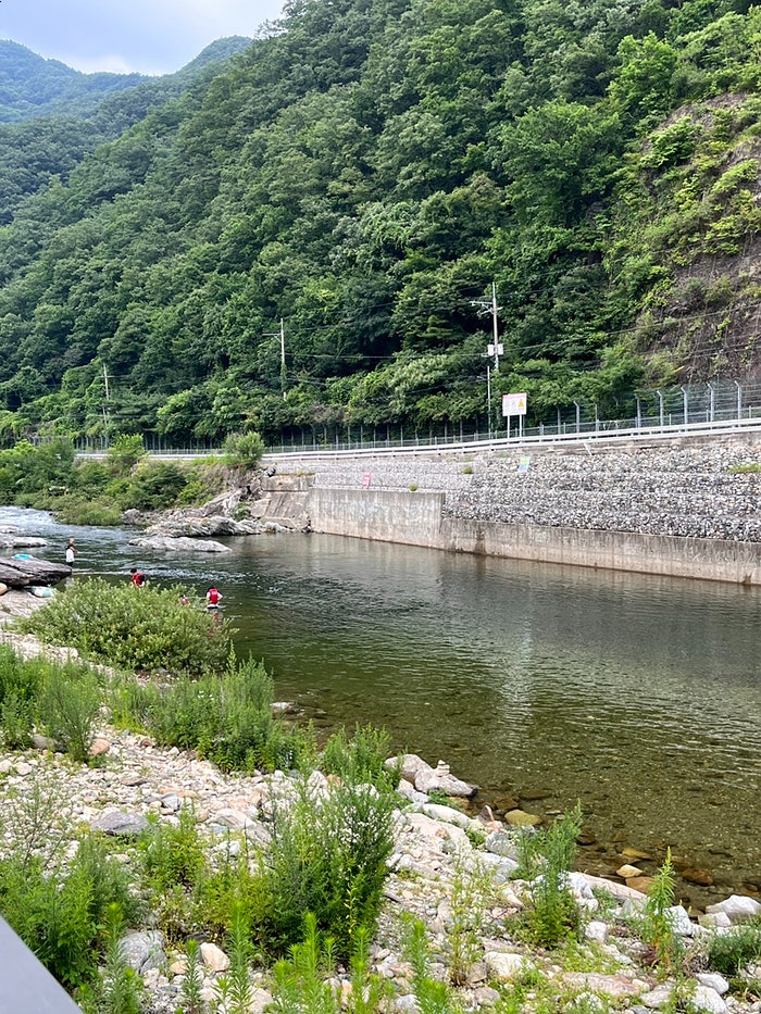 가평 백둔리계곡 백둔교계곡 불광주차장 수원근교계곡 스노클링 가능 무료구명조끼대여 네이버 블로그