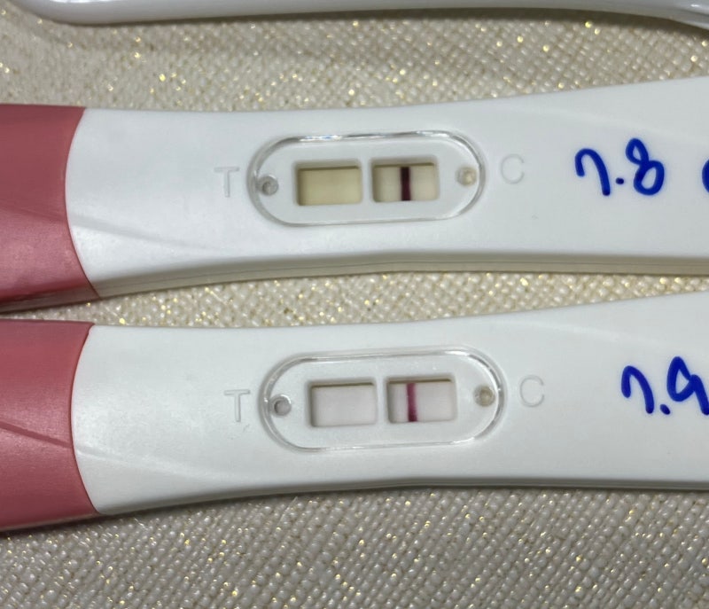 오비드렐 난포주사 두줄 영향 씨게 당하다 인공수정 8일차 9일차 10일차 초초매직 두줄 난포주사 영향 얼테기원포스트랩