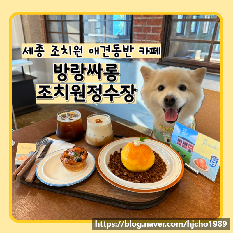 세종 조치원 카페 방랑싸롱 조치원정수장 조치원복숭아 짱맛 애견동반 가능 네이버 블로그