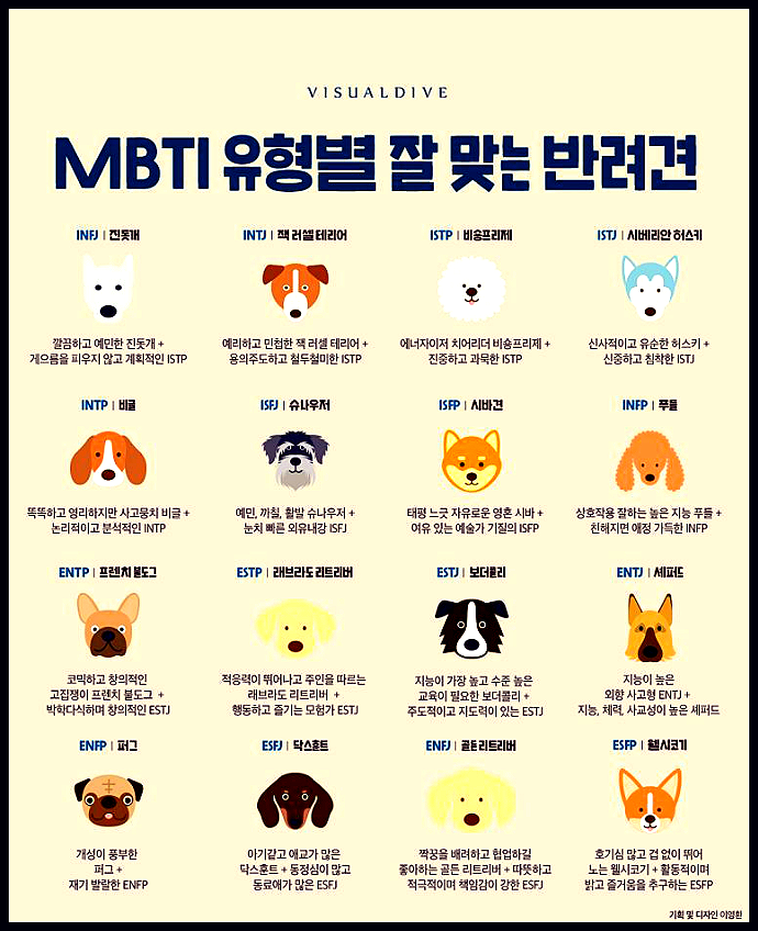 MBTI의 뜻 영어뜻 우리나라 순위 분류 및 동물 캐릭터 희귀유형 : 네이버 블로그