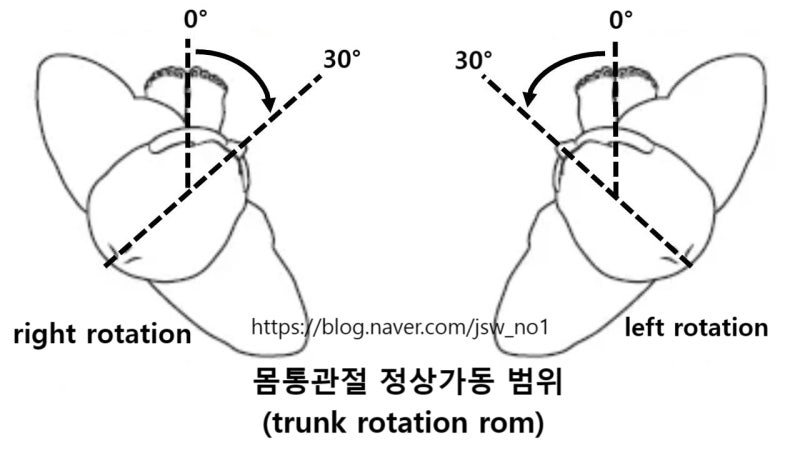 rotation(회전), internal rotation(내회전), external rotation(외회전)의 관절 별 정상 ...
