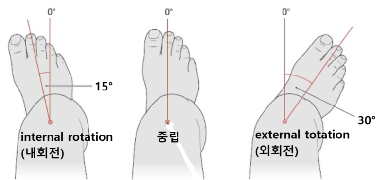 rotation(회전), internal rotation(내회전), external rotation(외회전)의 관절 별 정상 ...