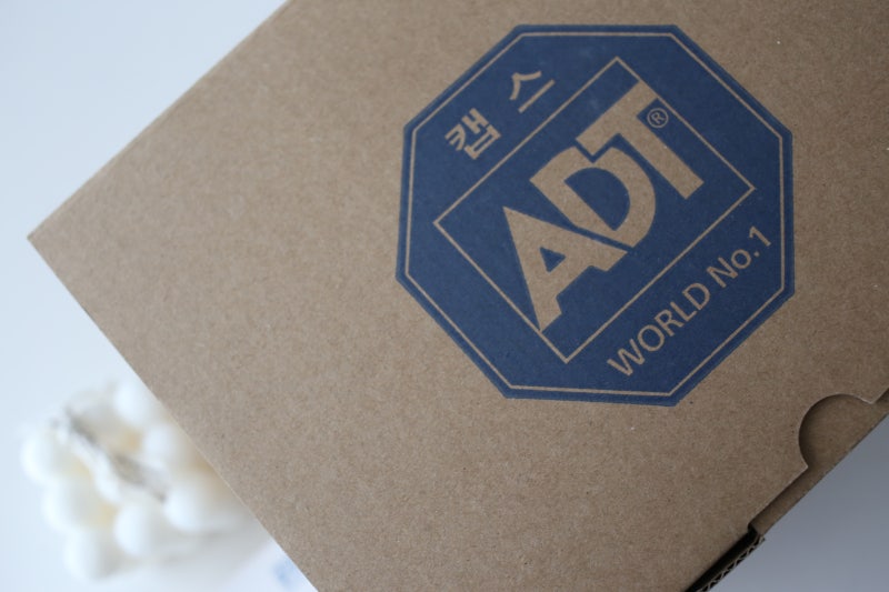 현관 CCTV ADT 캡스홈 설치했어요 홈 보안 만족 : 네이버 블로그