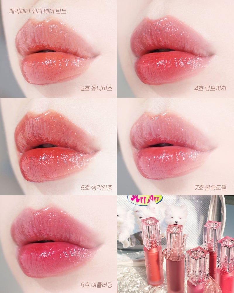 페리페라 워터 베어 틴트 5종 발색 후기 And 말티즈 아카이브 콜라보 올리브영 판촉 증정 2호 웅니버스 4호 당모피치 5호