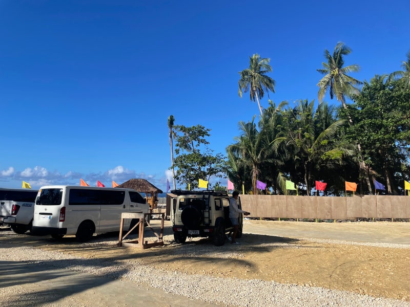 보홀 고래상어 현지투어 가격 비용 소요시간 준비물 후기 : 네이버 블로그