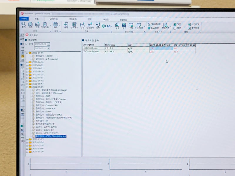 3년동안 증상 본 뒤 강아지 쿠싱증후군 LDDST 검사 후기 : 네이버 블로그