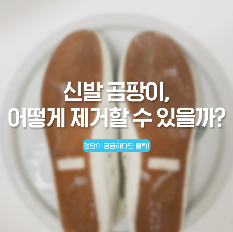 장마철 곰팡이 예방and제거 청소 방법 의류 옷장 화장실 욕실 벽지 신발장 네이버 블로그
