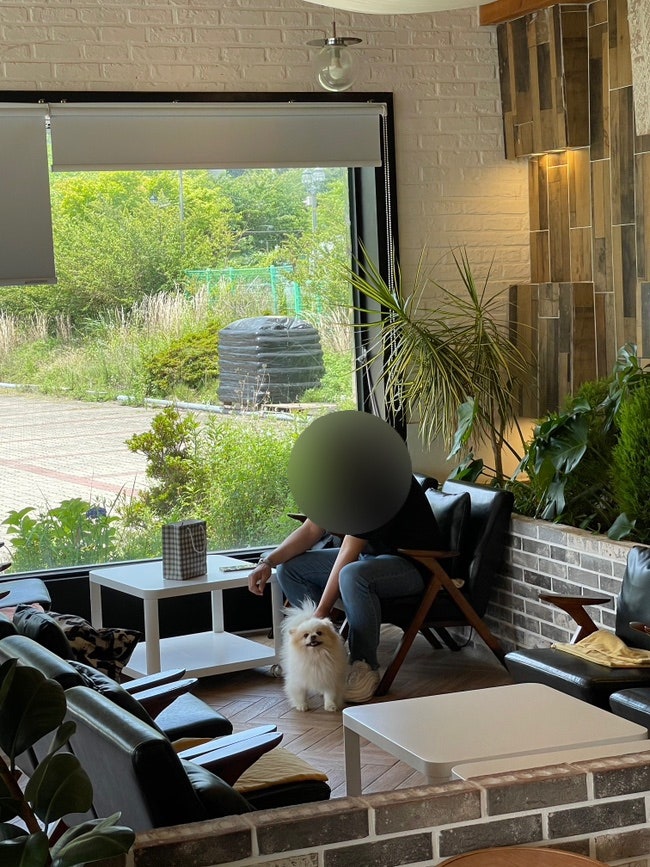 넓고 쾌적한 송정 기장 애견동반카페 피터펫 부산본점 100 추천후기 네이버 블로그