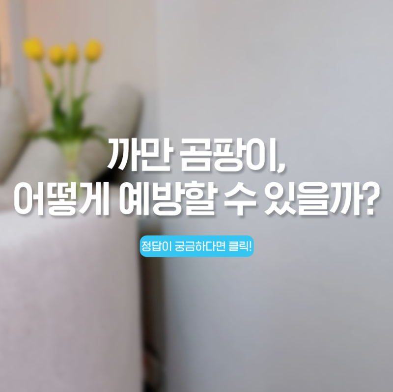 장마철 곰팡이 예방and제거 청소 방법 의류 옷장 화장실 욕실 벽지 신발장 네이버 블로그