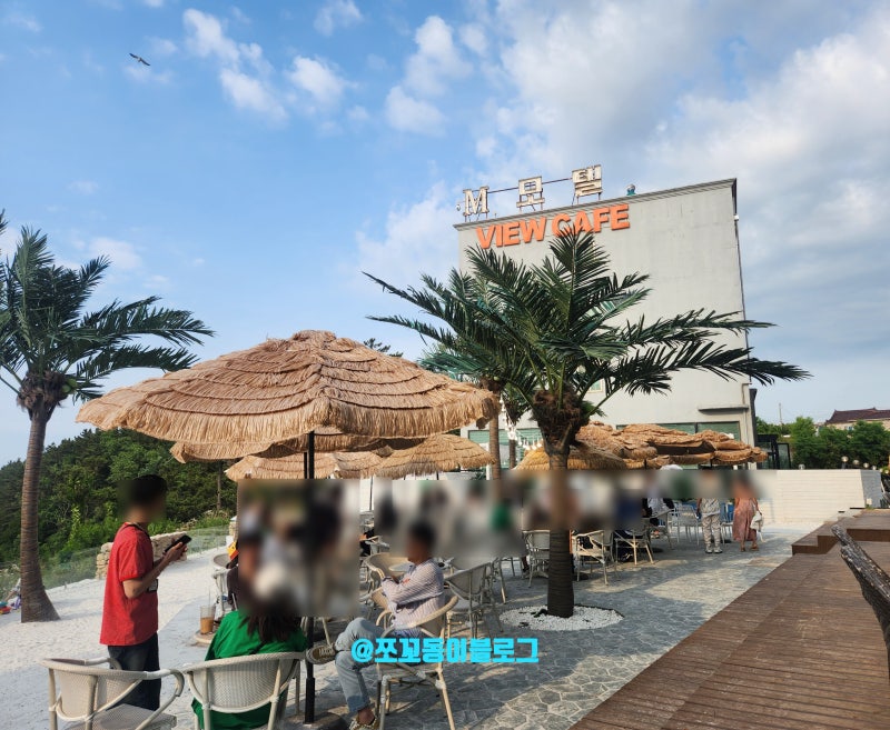 플로레도커피 선재점 오션뷰가 끝내주는 선재도 애견동반 카페 내돈내산 네이버 블로그