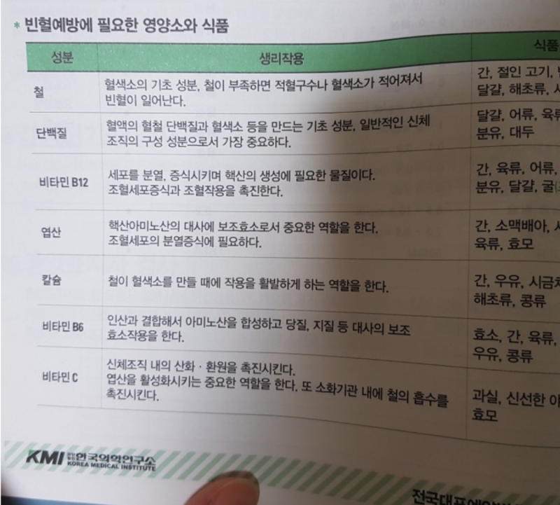 빈혈 정상수치 및 치료방법 증상 5년 관리후기 네이버 블로그