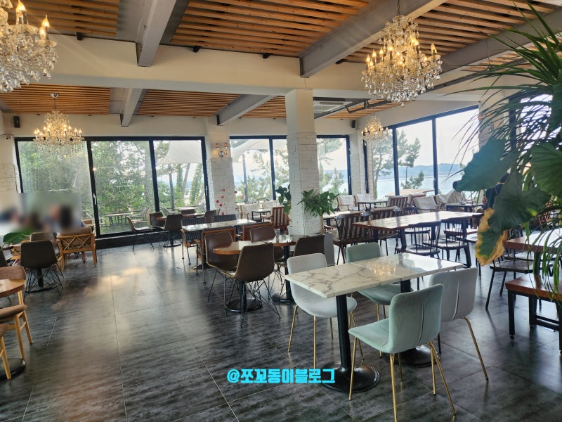 플로레도커피 선재점 오션뷰가 끝내주는 선재도 애견동반 카페 내돈내산 네이버 블로그