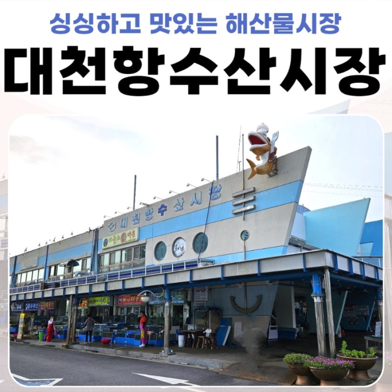 대천 가볼만한 곳3 대천해수욕장대천항 맛집두 번 방문한 보령 대천항 수산시장 추천 맛집수산대전 상품권 사용처 네이버 블로그