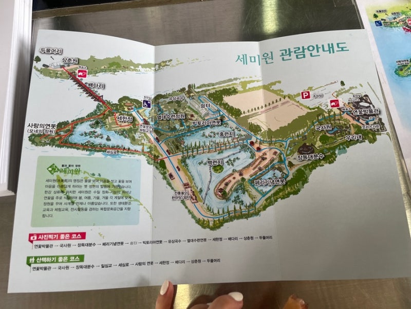 양평 가볼만한곳 연꽃 문화제 기념품샵아트샵 카페 갤러리 주차장 두물머리 연꽃 박물관 네이버 블로그