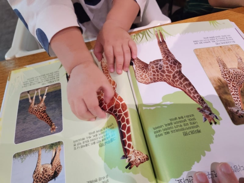 자연관찰 유아전집으로 책도 읽고 블루펜으로 동요듣기 네이버 블로그
