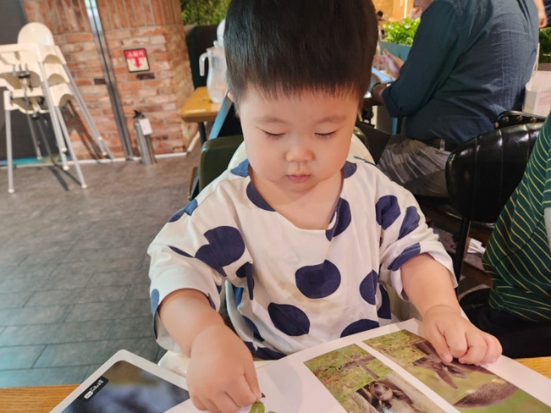 자연관찰 유아전집으로 책도 읽고 블루펜으로 동요듣기 네이버 블로그