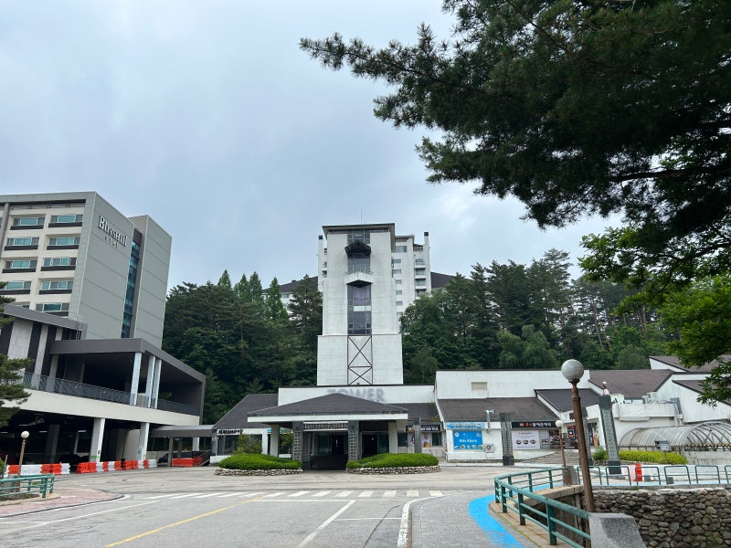 모나파크 용평리조트 숙소 타워콘도 18평 스탠다드 트윈 침대 객실 드래곤밸리 호텔 별관 슈페리어 더블 후기 네이버 블로그