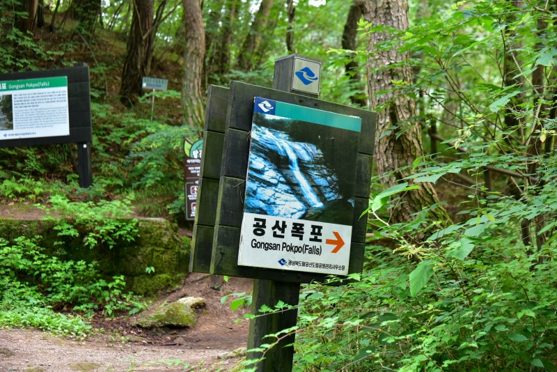 영천 치산계곡 영천 가볼만한곳 팔공산 오지 계곡 네이버 블로그