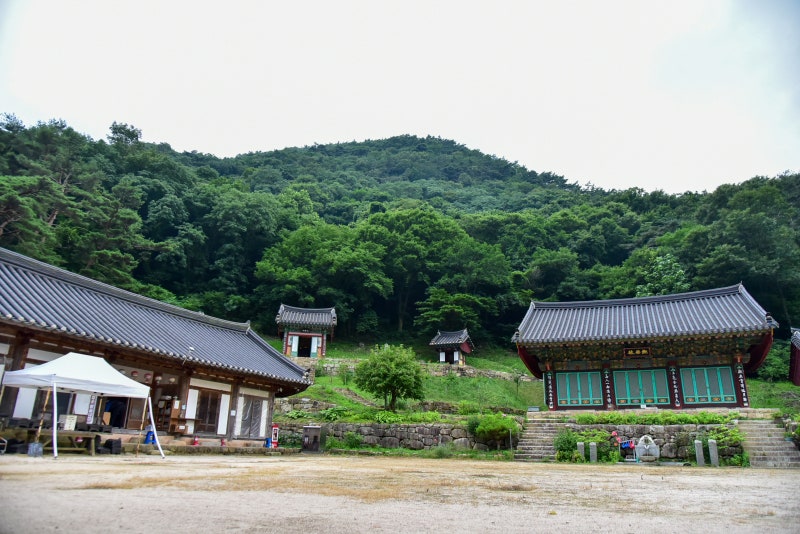 영천 치산계곡 영천 가볼만한곳 팔공산 오지 계곡 네이버 블로그