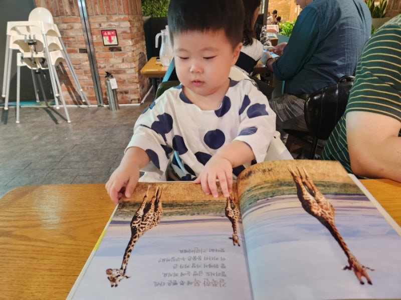 자연관찰 유아전집으로 책도 읽고 블루펜으로 동요듣기 네이버 블로그