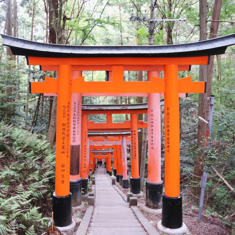 일본어자격증시험/일본어시험 종류 및 활용처 : JPT, JLPT, SJPT, BJT, EJU : 네이버 블로그