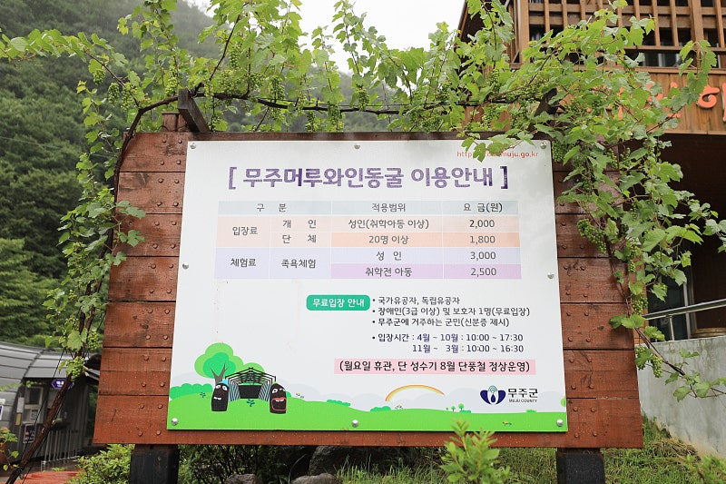 무주 가볼만한곳 머루와인동굴 시음과 족욕체험 네이버 블로그