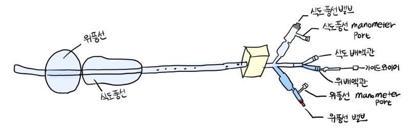의학용어 SB tube :: 삽입 목적 과정 제거 간호 : 네이버 블로그