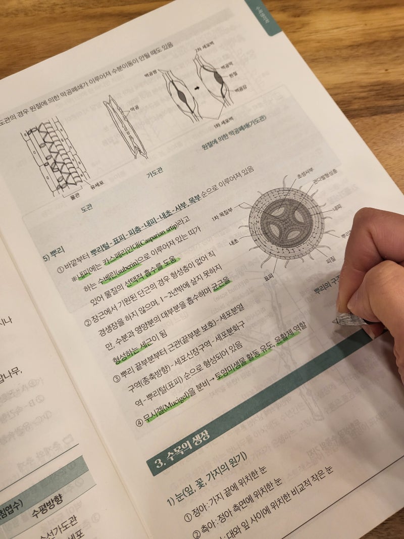 나무의사 자격증 응시자격 및 취득과정 연봉확인 네이버 블로그