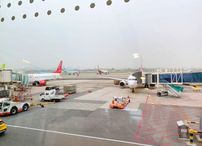 제주도 비행기표 예약 제주도 항공권 50 특가 Ft 김포공항 국내선 바이오등록 네이버 블로그
