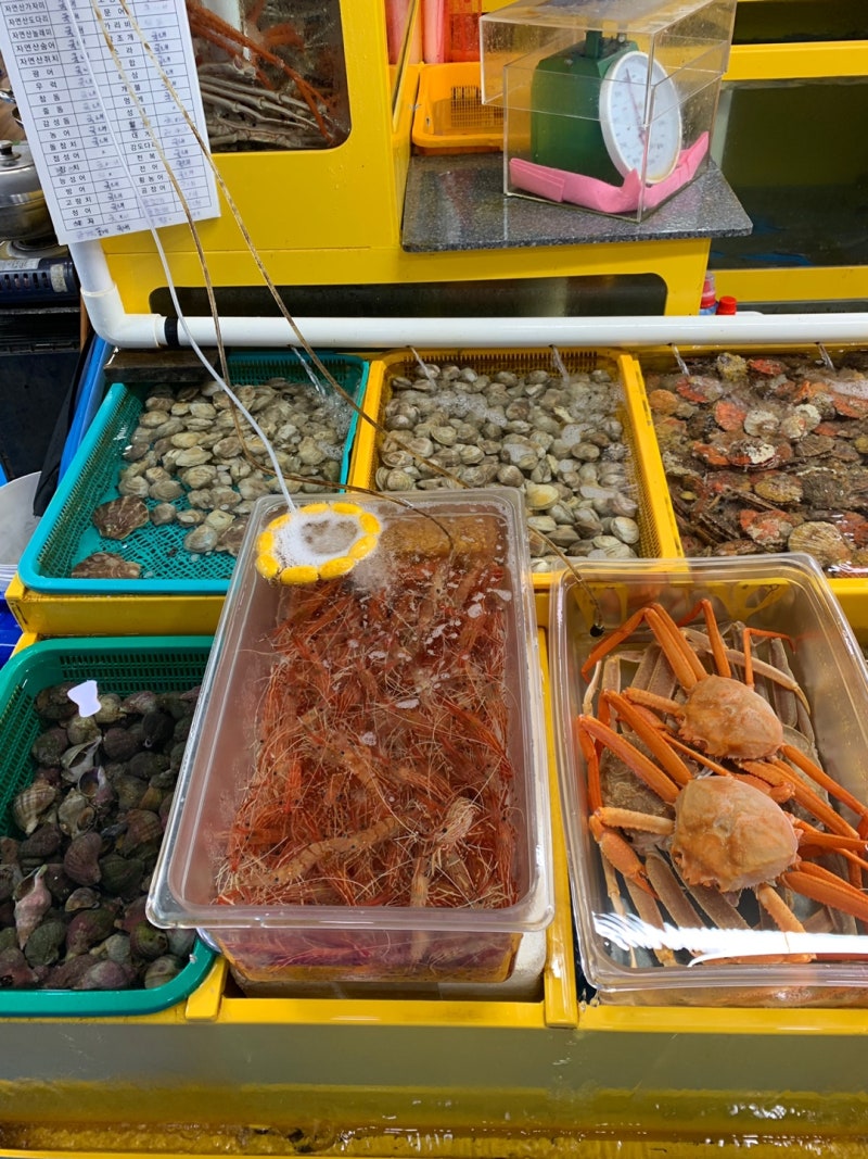 강원도양양 싱싱한 회포장 맛집 물치항 회센터 철이네 횟집 ㅣ 숭어 광어 우럭 네이버 블로그